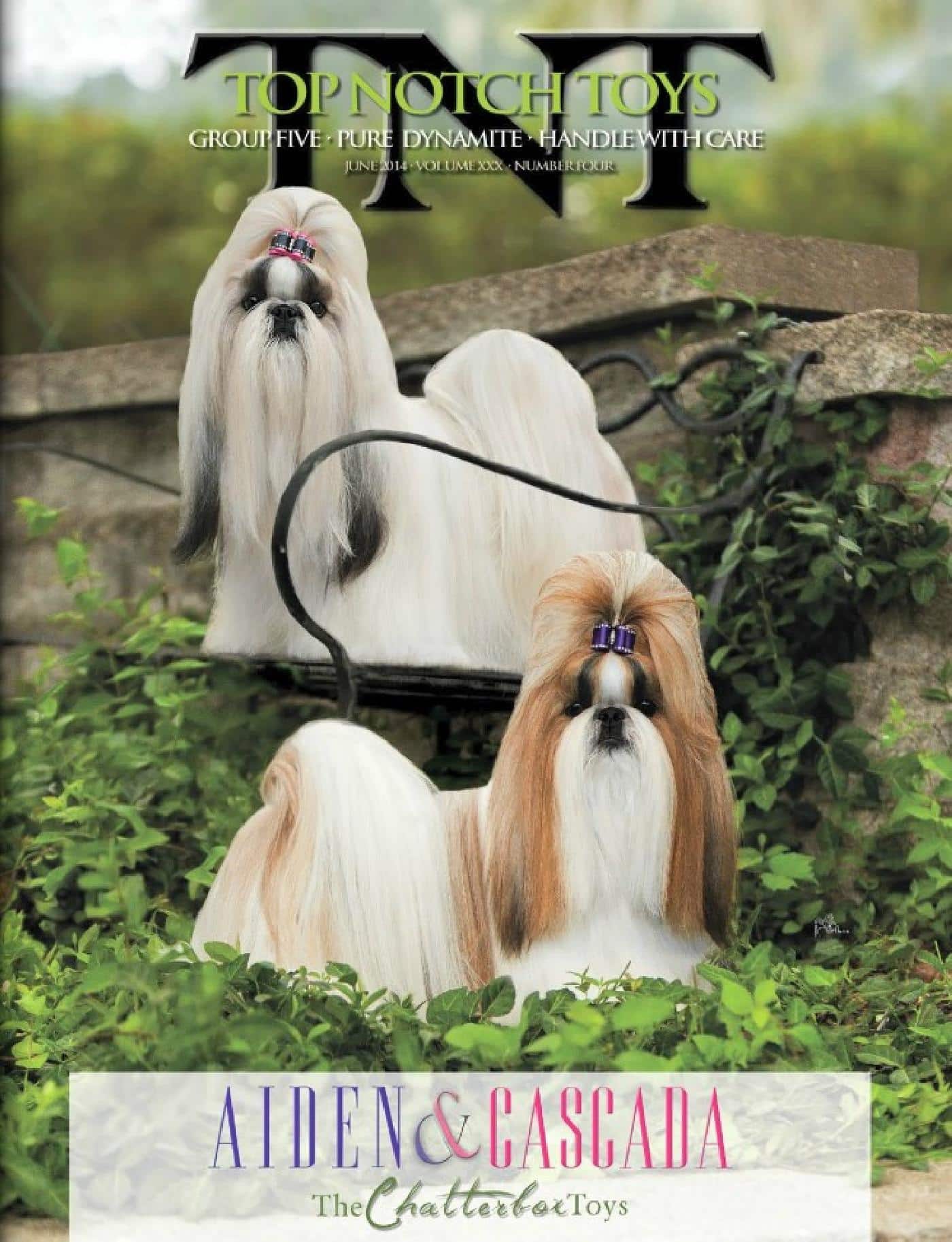 TNT | June 2014 – Showsight Magazine