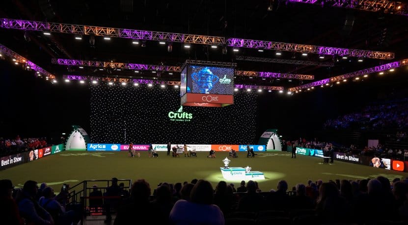 Crufts 2022 - The ‘Wake-Up’ – Showsight Magazine