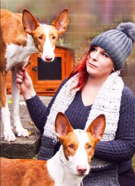 Jessica Stover | Dugualla Ibizan Hounds & Toy Manchester Terriers ...