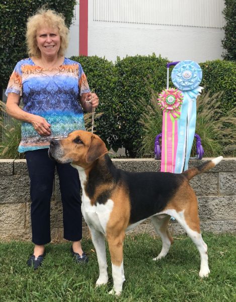 Toni Koerber | Monocacy Bend Kennels – Showsight Magazine
