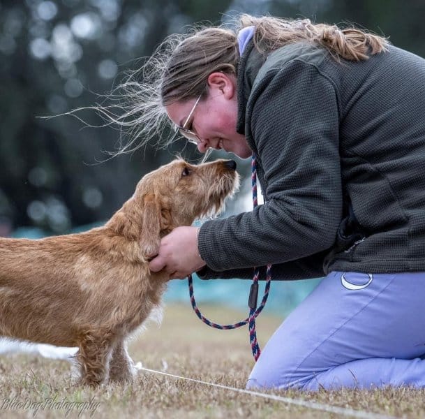 Open Shows Are AKC’s Field of Dreams – Showsight Magazine