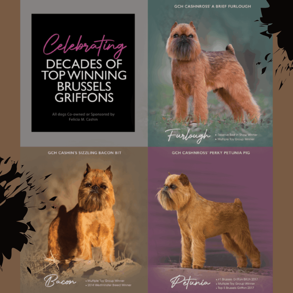 Sandra Pretari Hickson: 2026 WKC Dog Show Breed Judge – Showsight Magazine