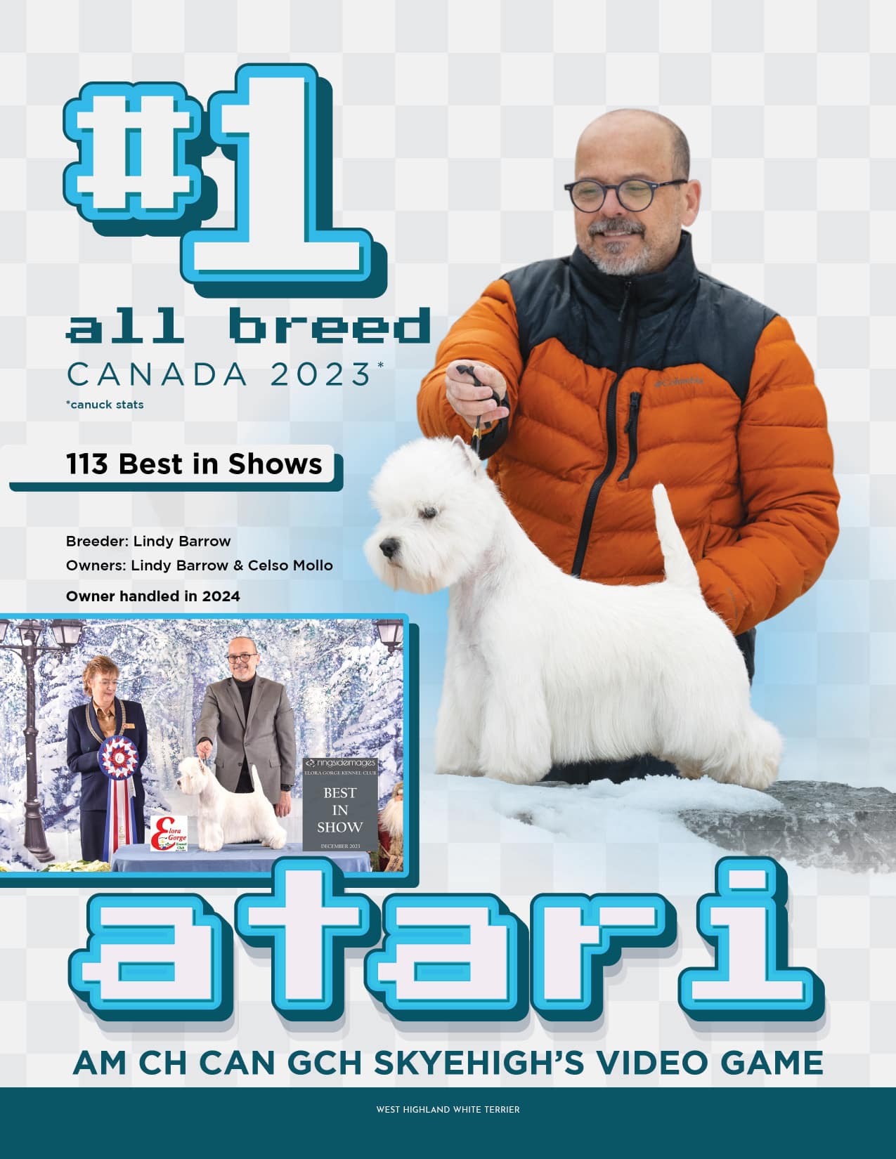 Showsight Magazine | Dog Shows & Show Dogs | News & Info